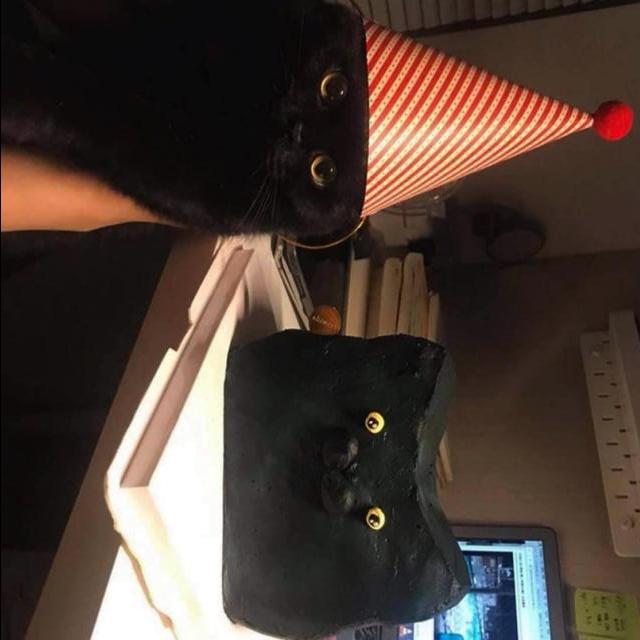 cats Object Detection Dataset by hackathon2025