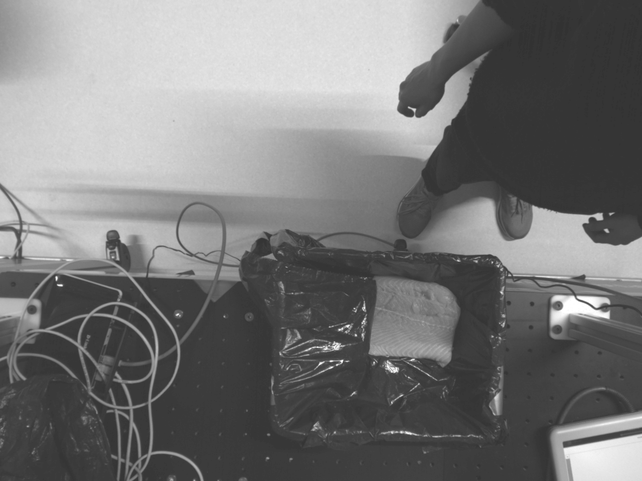 salmon Instance Segmentation Dataset by myworkspace