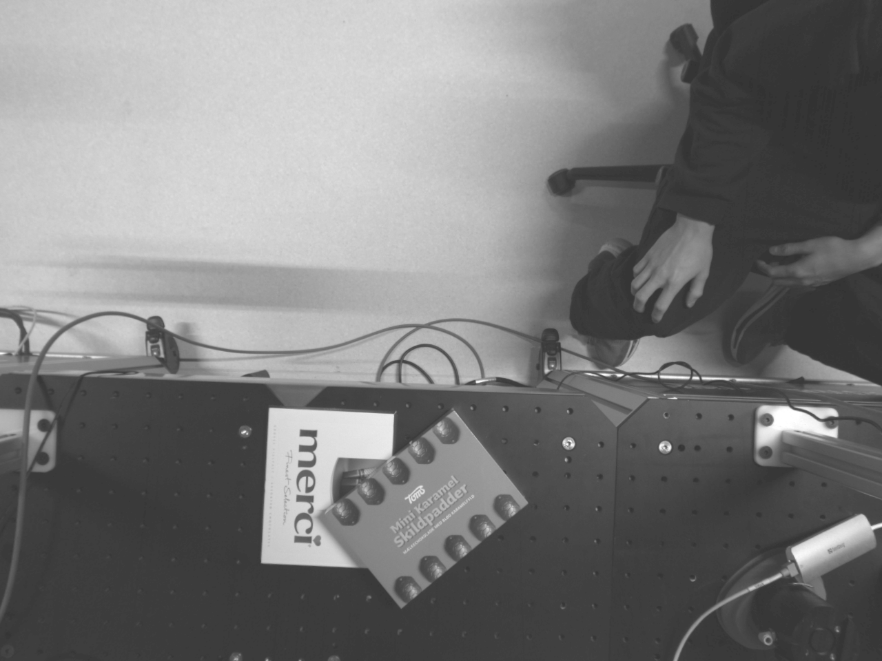 chocolate Instance Segmentation Dataset by myworkspace