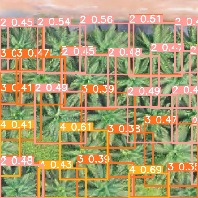 Palmdetect Object Detection Dataset By Object Detection