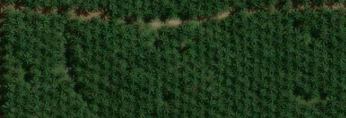 Fine Tune Object Detection Dataset By Object Detection