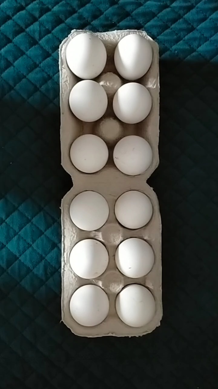 egg-counting Object Detection Dataset and Pre-Trained Model by tim