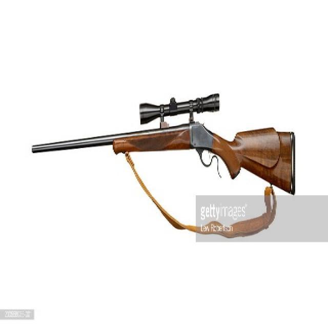 Weapon Detection Instance Segmentation Dataset by Training