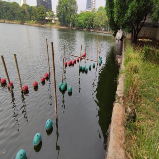 unified-dataset-1 Object Detection Dataset by Lynkeus