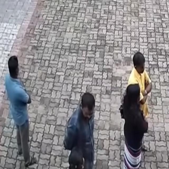 human-detection Object Detection Dataset by must