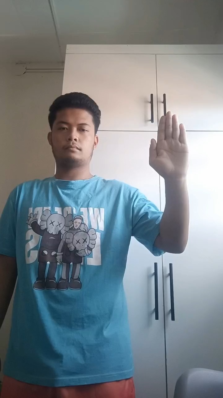 Custom Hand Gestures Object Detection Dataset and Pre-Trained Model by Brian Jamille Santiago