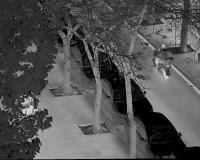 IRIS NUS Workspace - Roboflow Universe