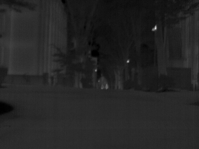 FLIR LLVIP Tokyo_Infrared Object Detection Dataset by IRIS NUS Workspace