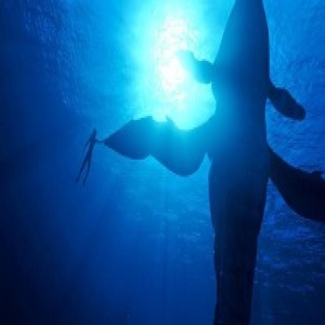 lab7 Instance Segmentation Model by Computer Vision