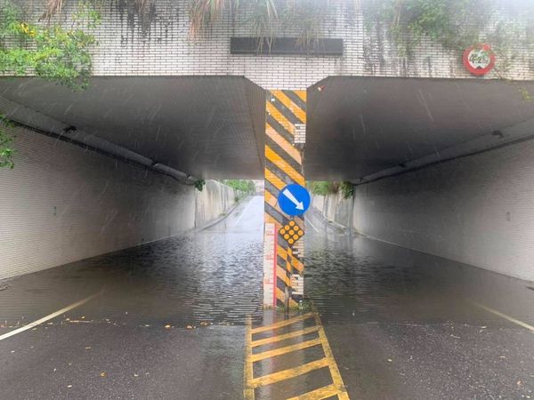 0111 Instance Segmentation Dataset by ntu