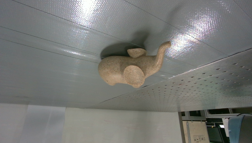 Elephant_train Instance Segmentation Dataset by 20240816objectscan02