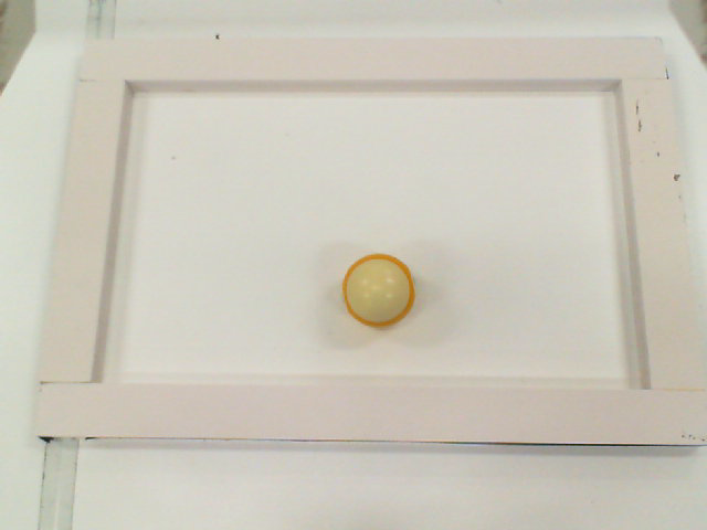 Balls Instance Segmentation Dataset and Pre-Trained Model by MobileRobot