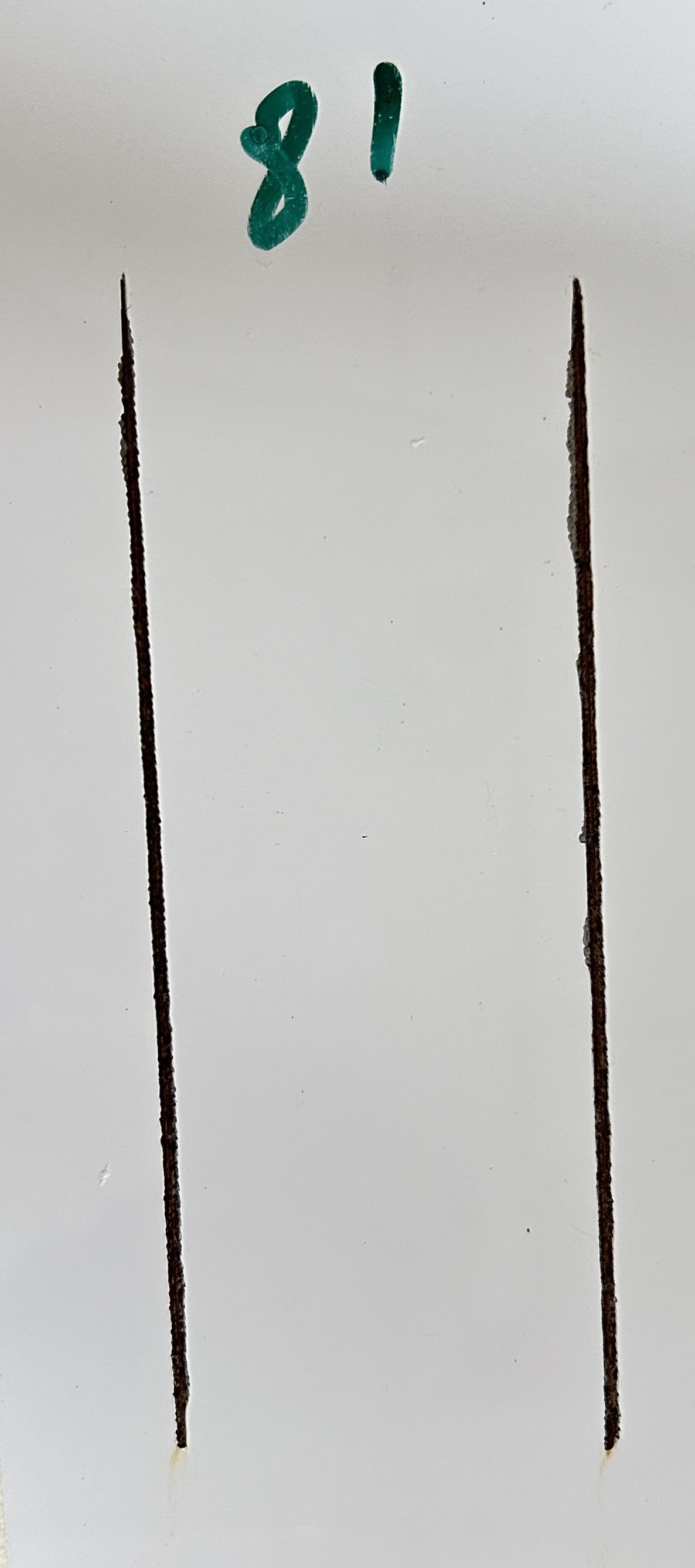 corrosion automation Object Detection Dataset and Pre-Trained Model by ...