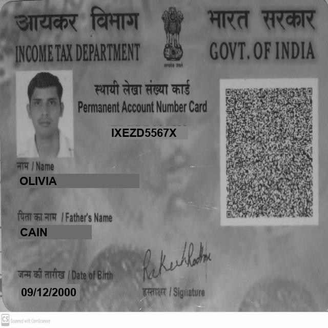 pan_28_march Object Detection Dataset by idcard