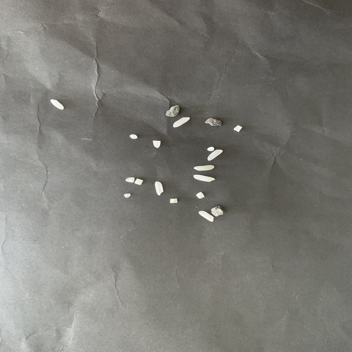 Rice Dataset 2 Object Detection Model By Test