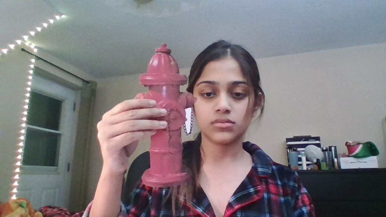 Fire Hydrant Detector Object Detection Dataset By Uottawa