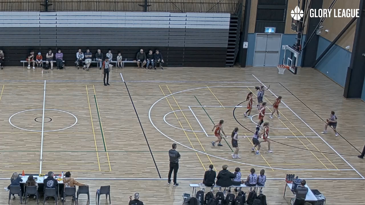 Basketball Training Object Detection Dataset by Percival