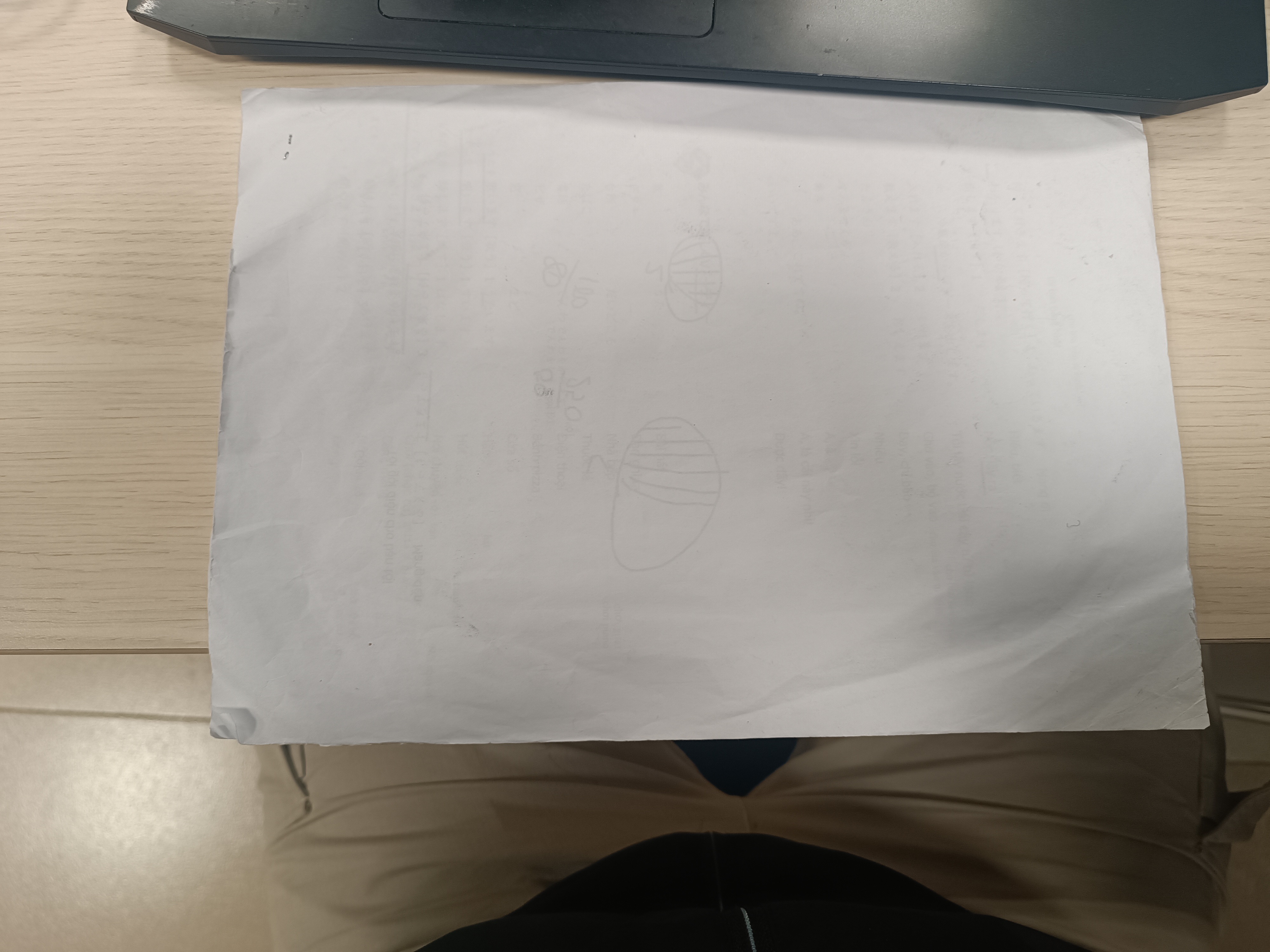 paper Instance Segmentation Dataset by casanova