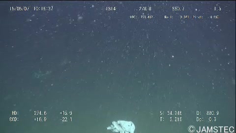 underwater plastic detection Object Detection Model by a