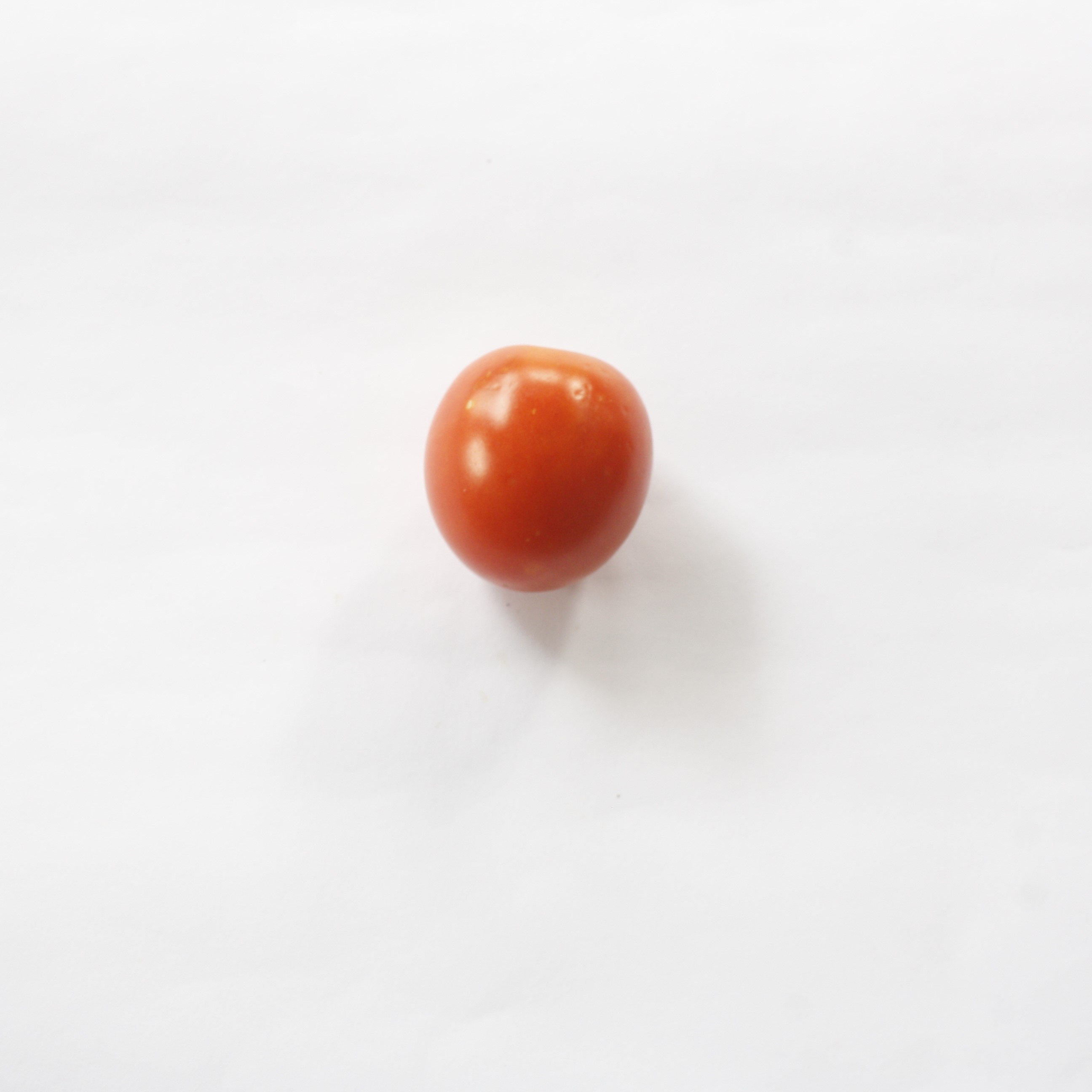 Vegetable classification Object Detection Dataset by sabrina