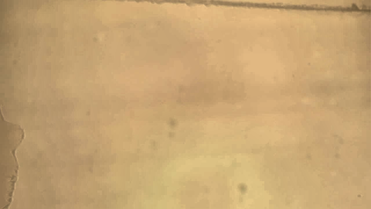 seg-edge length tracking Instance Segmentation Dataset by hlabs