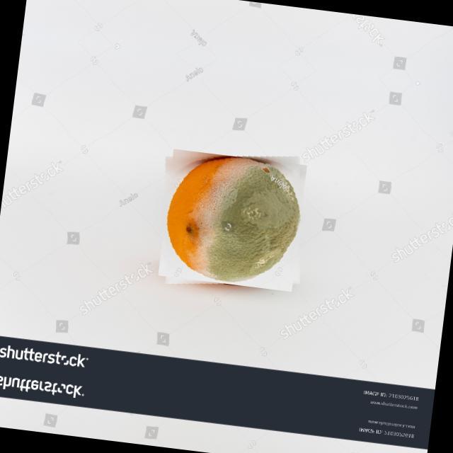 Orange defect Object Detection Dataset by Mydetect