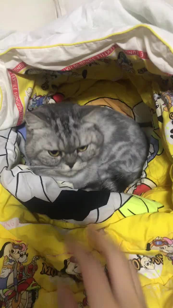 new-workspace-dbspd - Roboflow Universe