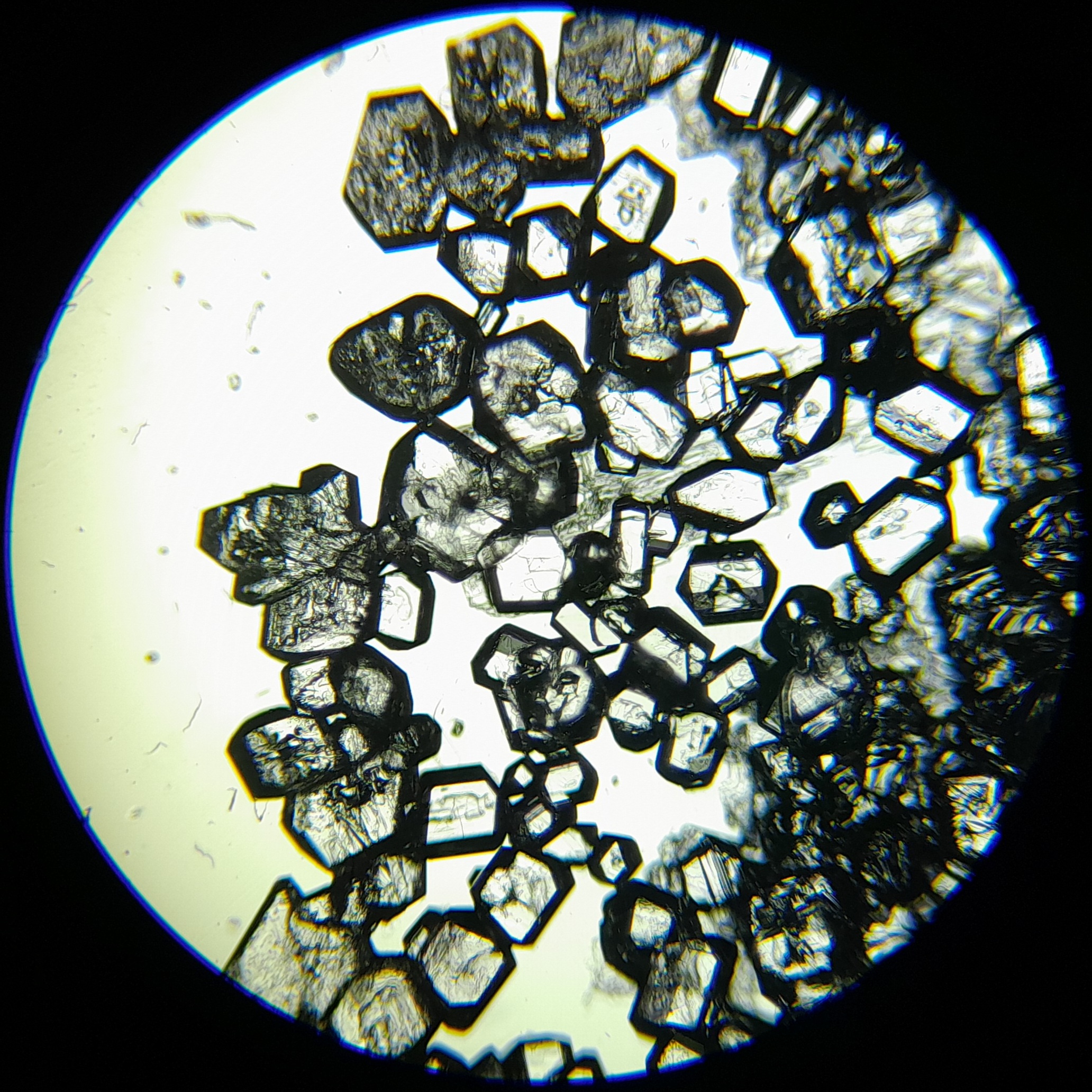 How to Use the Crystals Instance Segmentation API