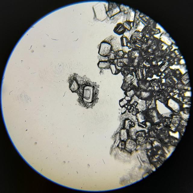 Crystal Merge Instance Segmentation Dataset And Pre Trained Model By Testing Dataset