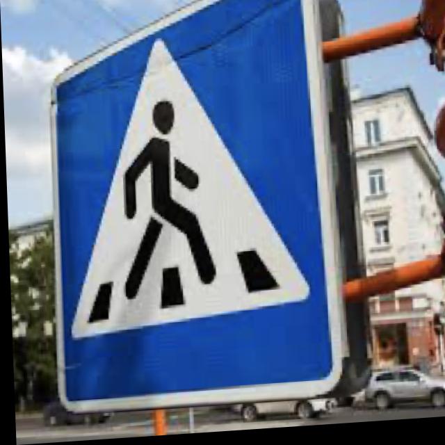 pedestrian sign Object Detection Dataset by DogSebi