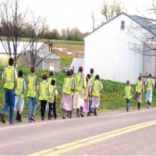 Safety Vest Detection Object Detection Dataset By Fong