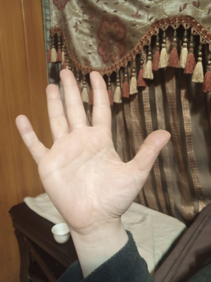 Hand Gesture Object Detection Dataset By Hand Gesture