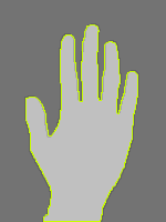 Palm Detection - Roboflow Universe