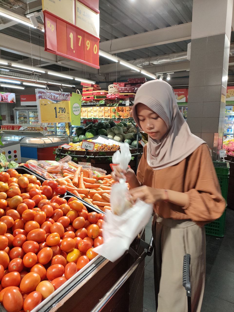 alp_detection Object Detection Model by alp living