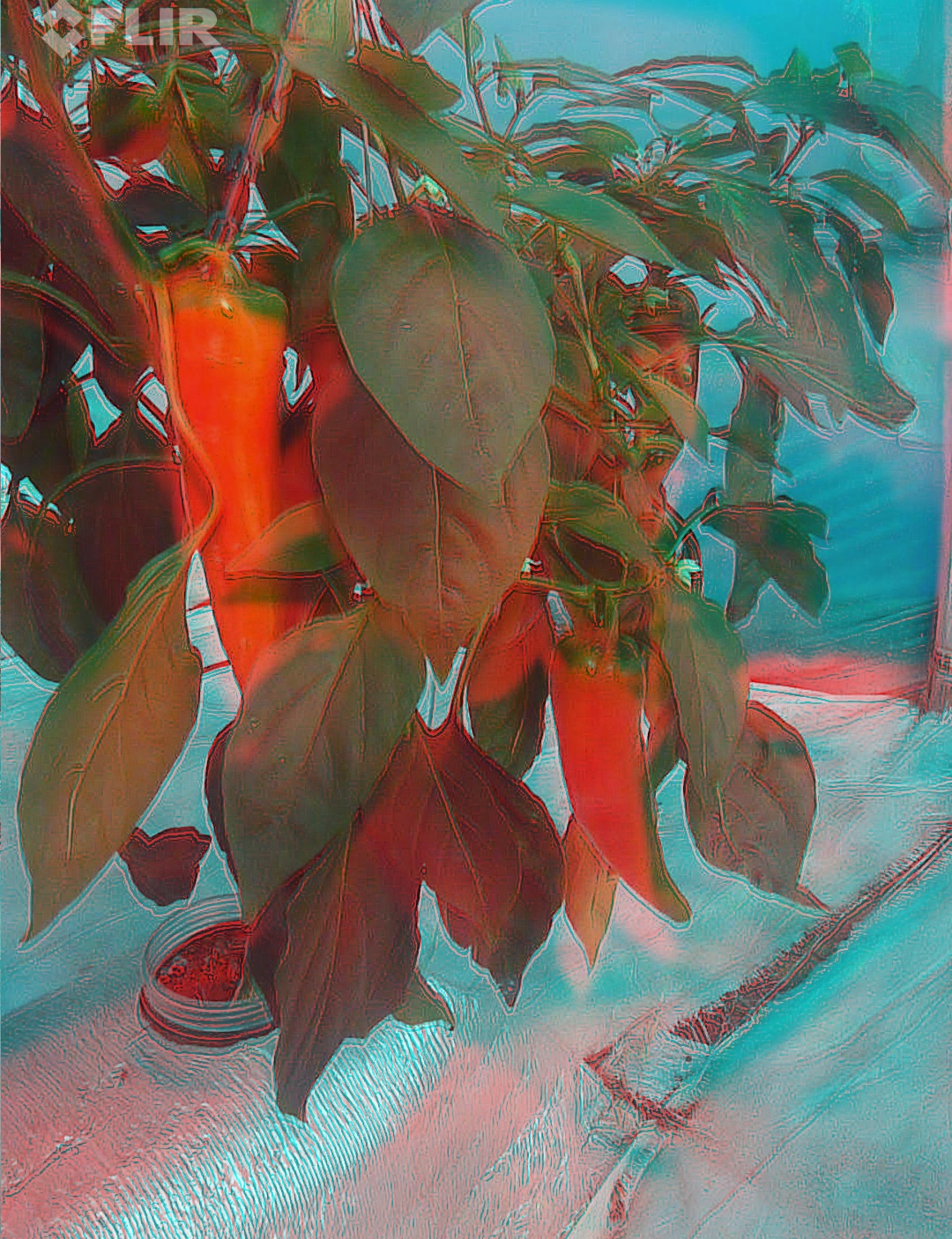 Cse495 Pepper Detection Red Object Detection Model By Emre Y