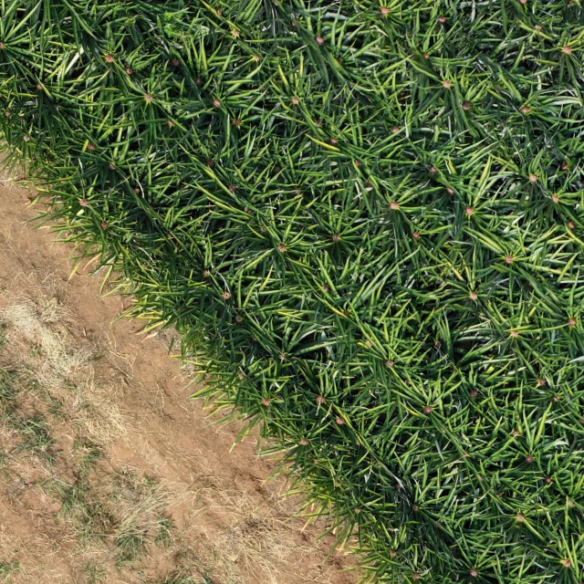 Tesisdeepl Object Detection Dataset By Tesis