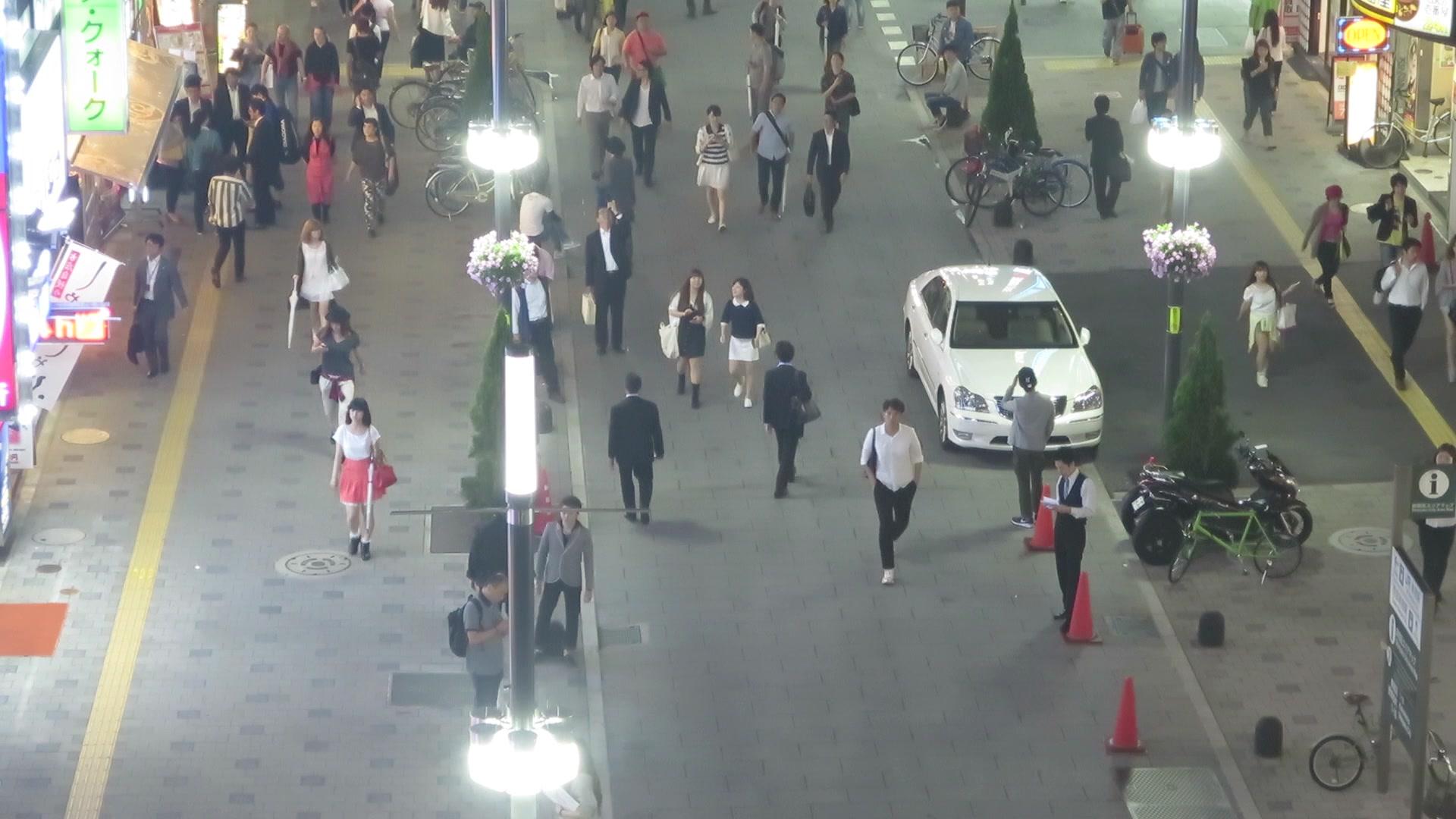 human Object Detection Model by like