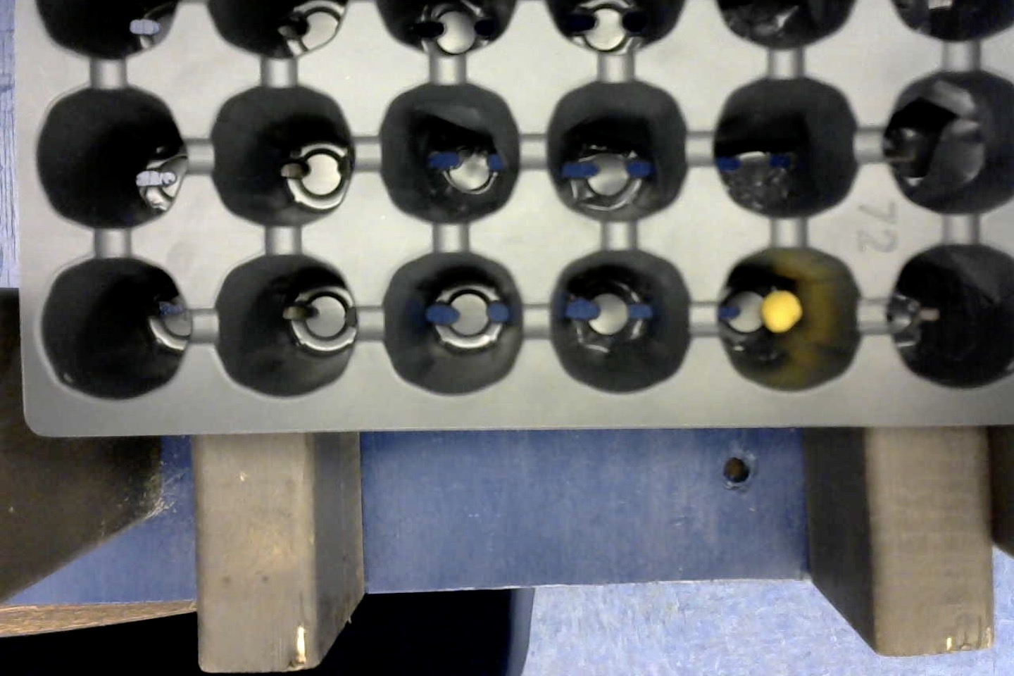 Seed Finder Object Detection Model by William Grudis