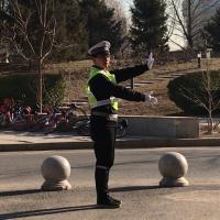 Anas (anas-hsczv) - Roboflow Universe