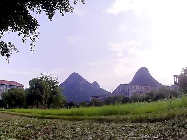 ins Instance Segmentation Dataset by rf