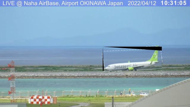 How to Use the Bird Object Detection API