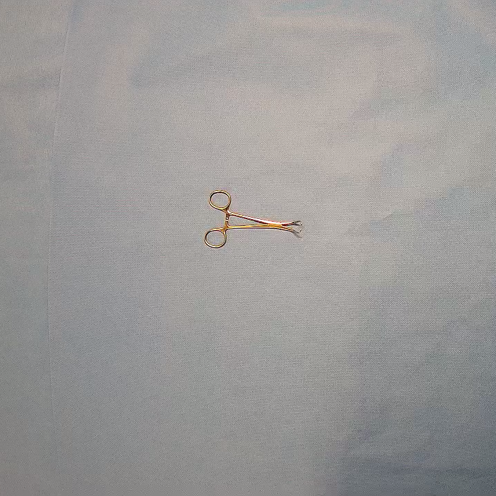 N Health - Roboflow Universe