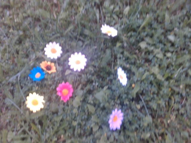 Flower Detection Object Detection Dataset By Plantdetection