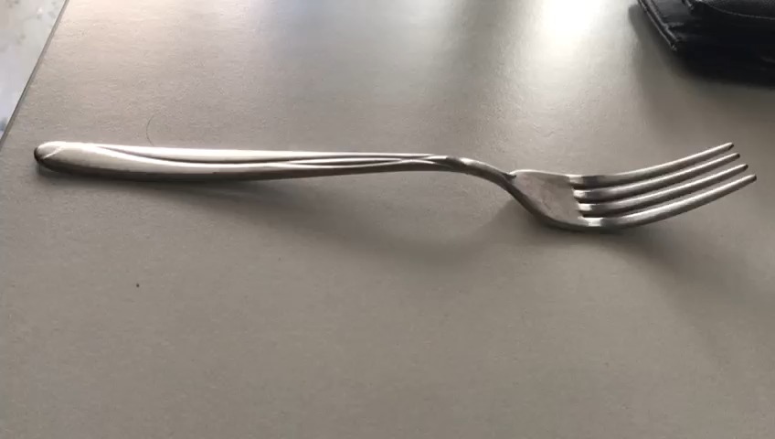 Fork vs Spoon V1 Instance Segmentation Dataset and Pre-Trained Model by ...