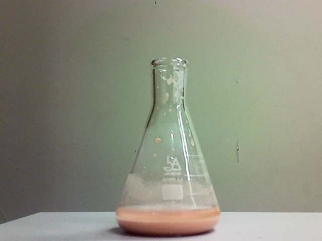 How to Use the flask Object Detection API