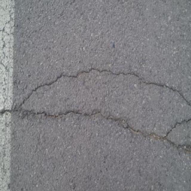 Bridge Crack Object Detection Dataset By Concrete Crack