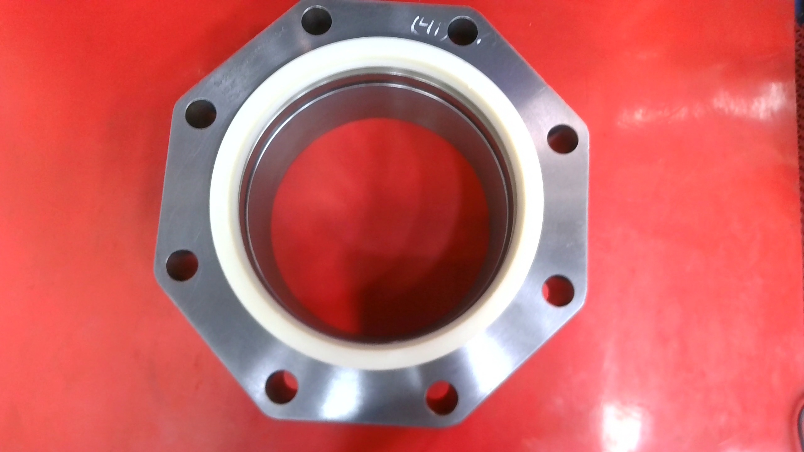 773_HC2_SEAL Object Detection Model by 773HC2SEAL