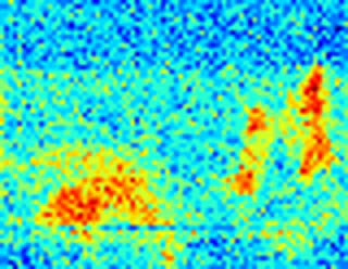 infrared ray img Object Detection Model by project-kagna