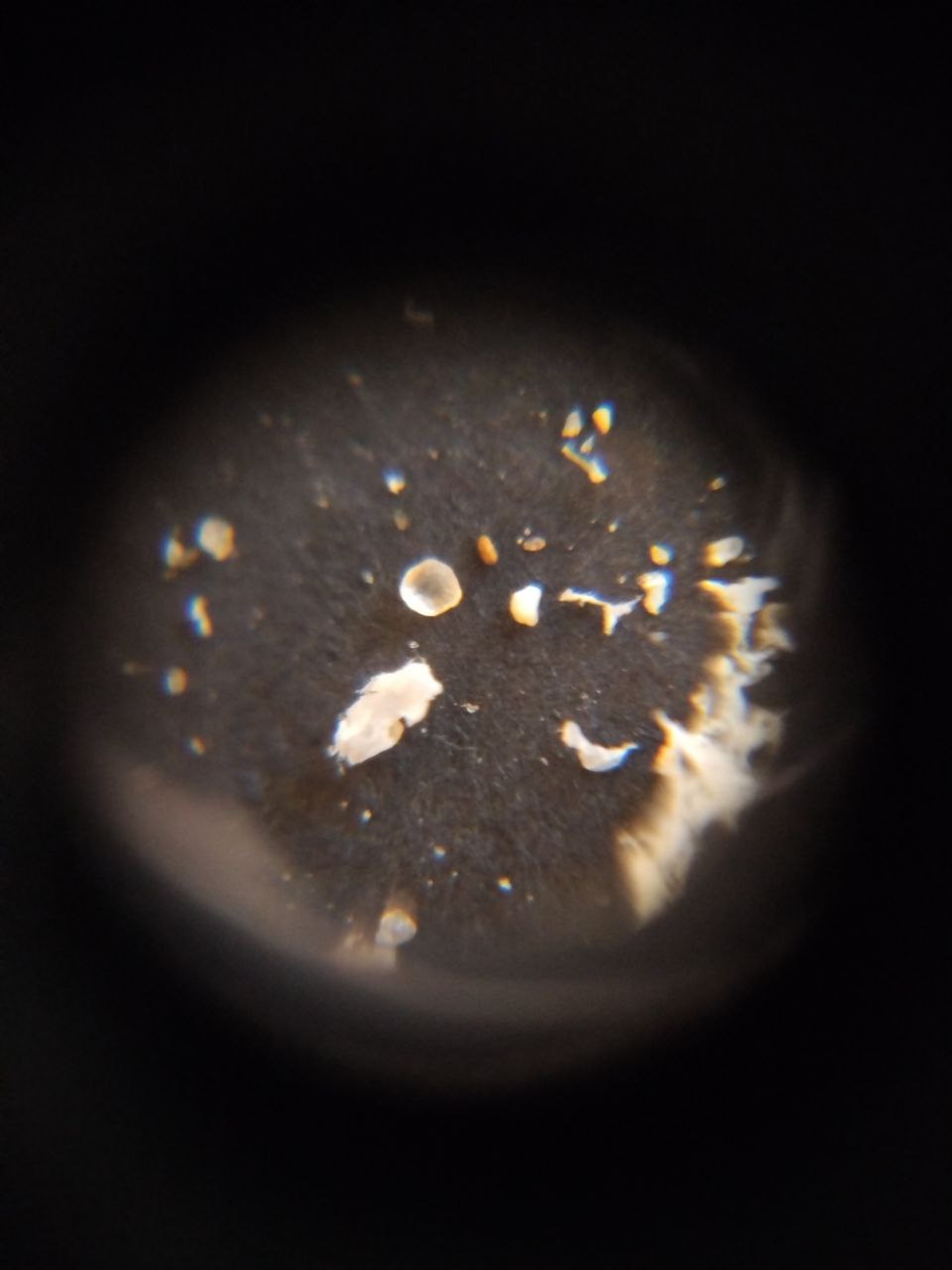 detection_microplastics Object Detection Dataset by waste