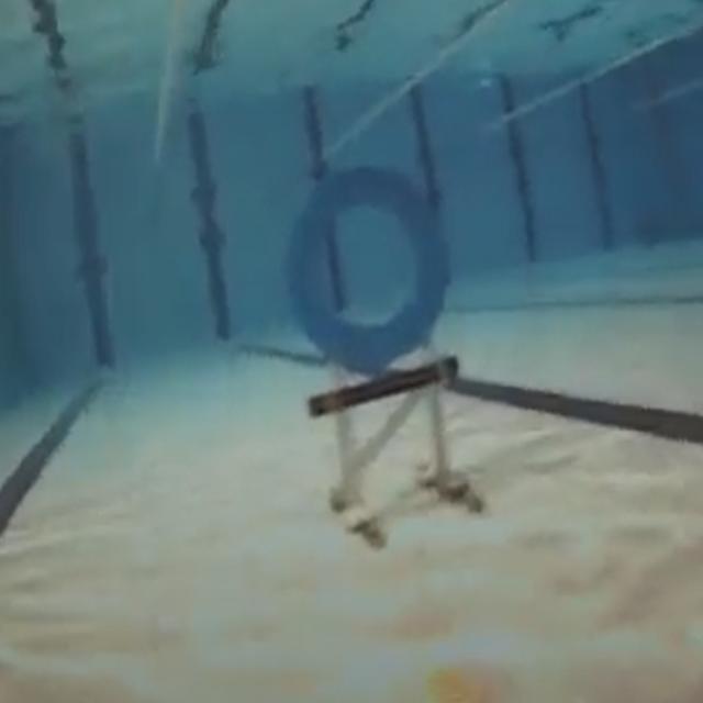 underwater_circle Object Detection Dataset and Pre-Trained Model by ccircle